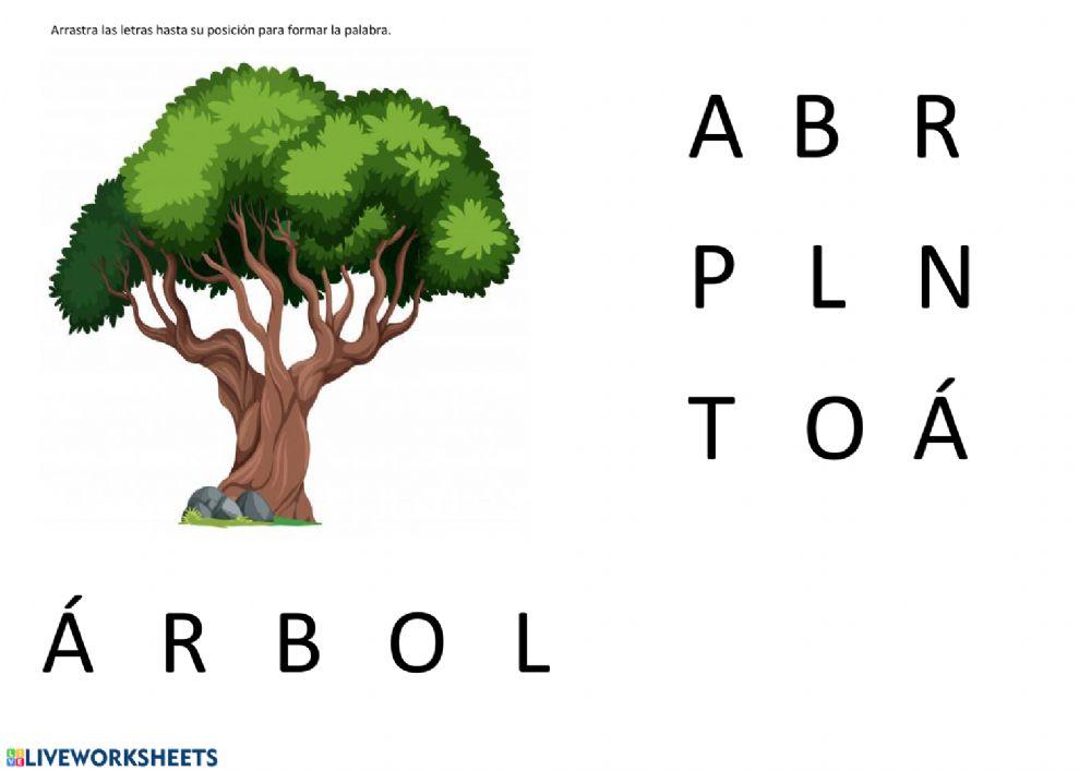 La palabra -árbol- worksheet | Live Worksheets