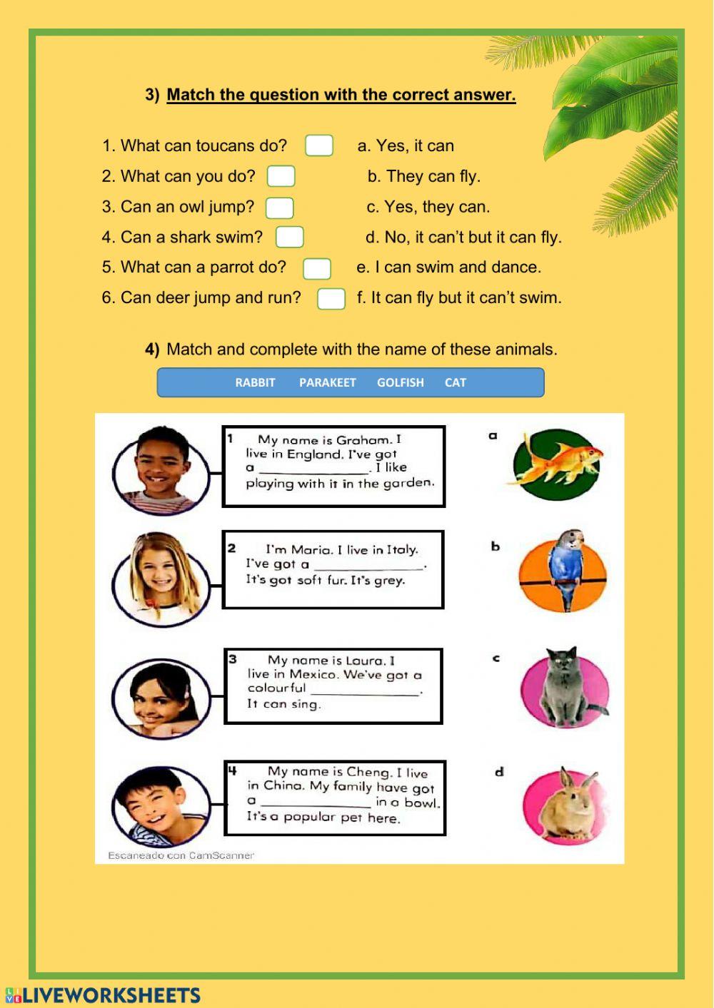 Amazing Animals Final revision worksheet | Live Worksheets