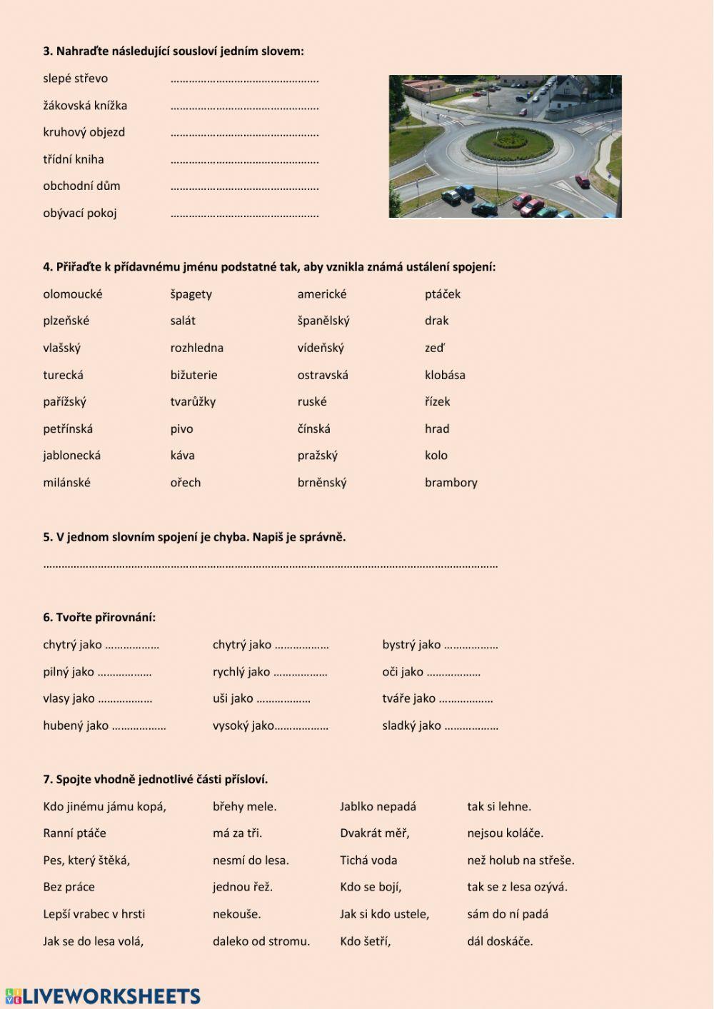 Slovo, sousloví… | Free Interactive Worksheets | 115108
