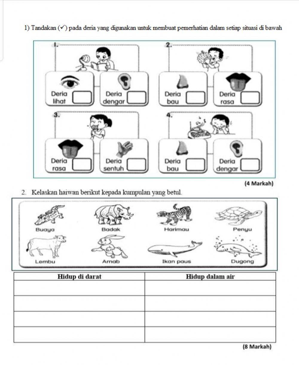 Kemahiran memerhati dan mengelas 2123 | croz7e | Live