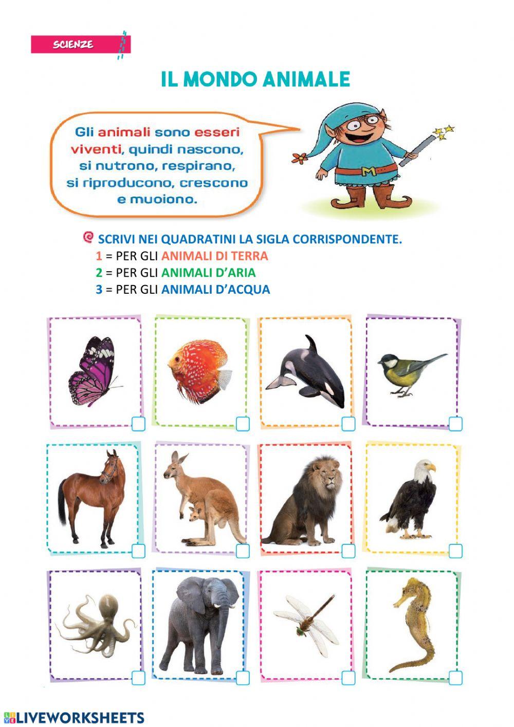 L'ambiente di vita degli animali worksheet | Live Worksheets