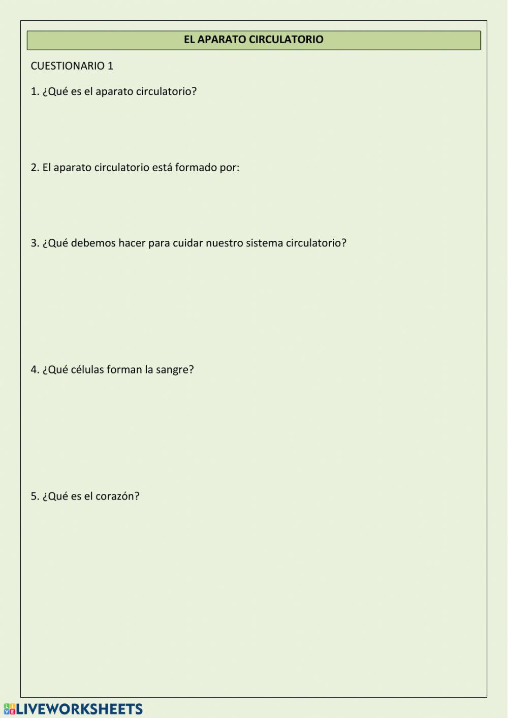 El aparato circulatorio interactive worksheet | Live Worksheets