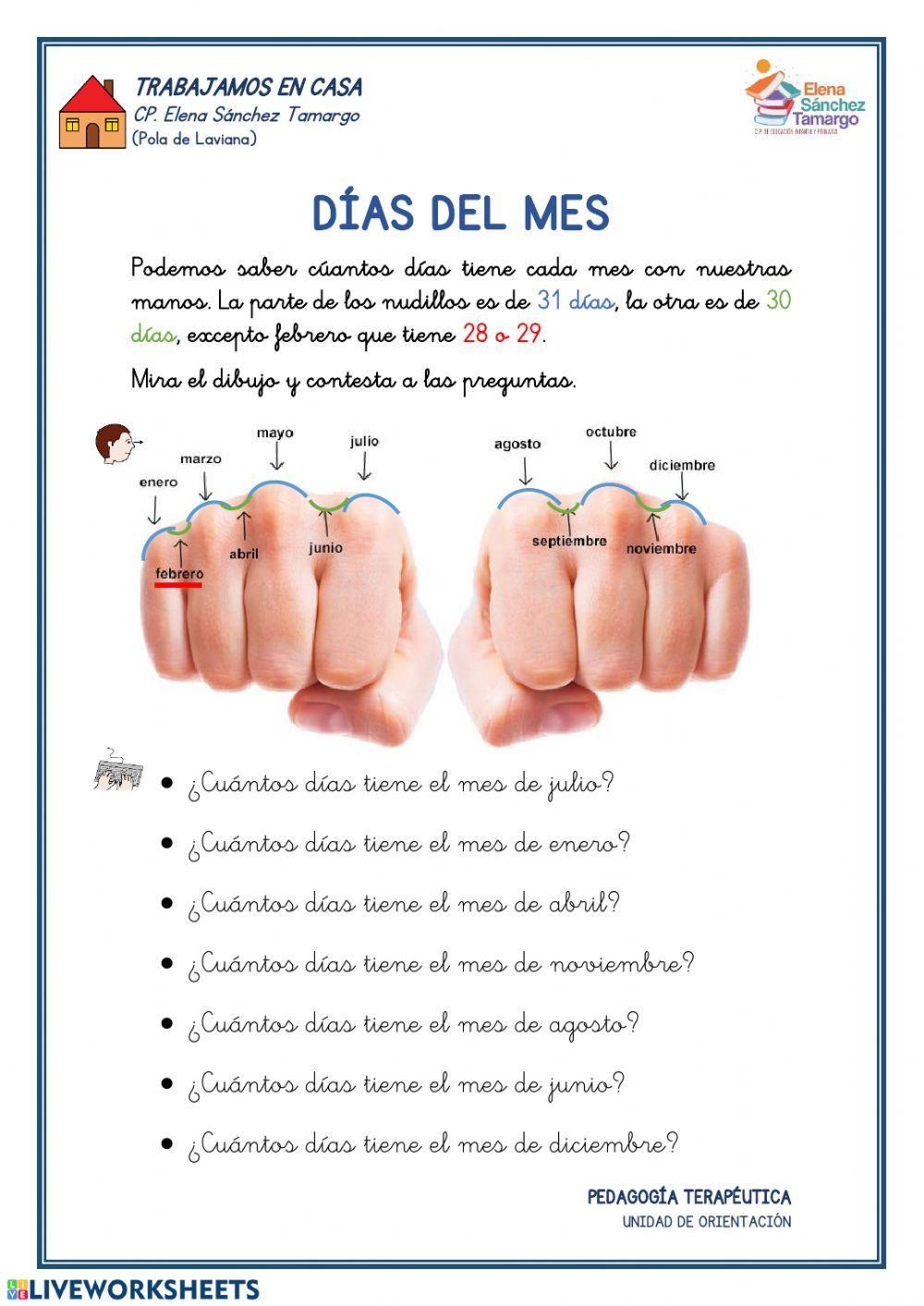 Dias del mes worksheet | Live Worksheets