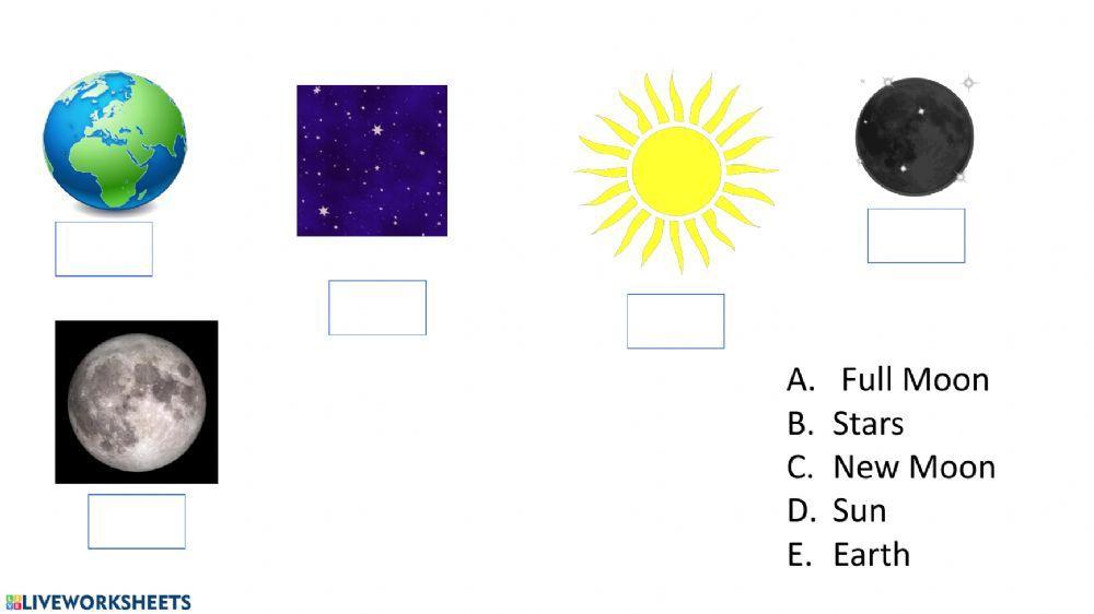 Moon phases exercise | Live Worksheets