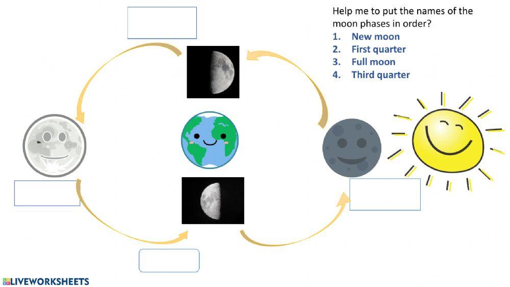 Tha moon phases worksheet | Live Worksheets