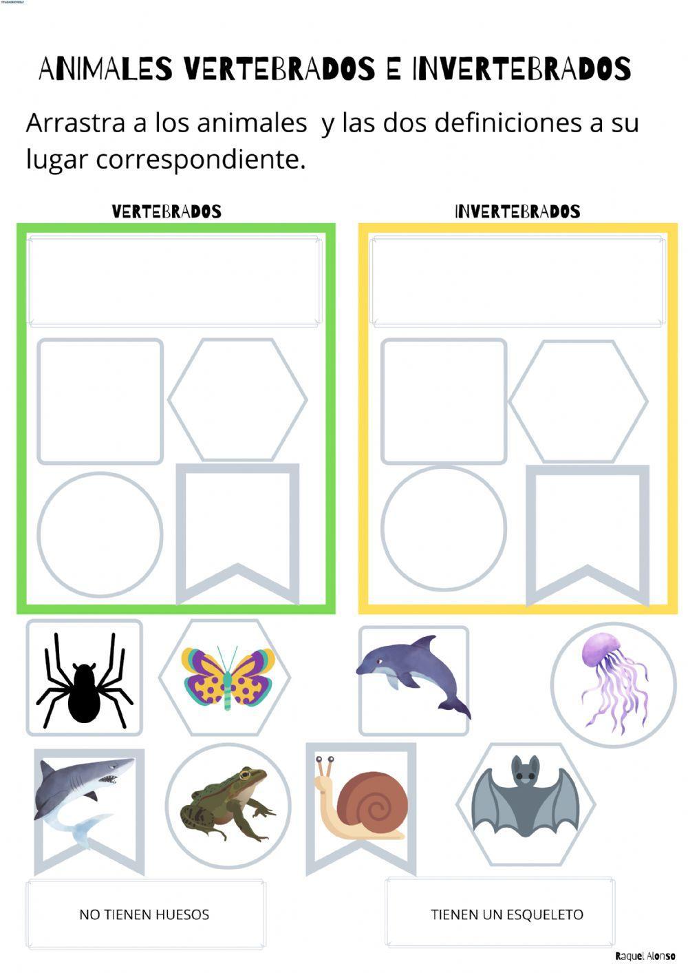 Animales verteb… | Free Interactive Worksheets | 121833