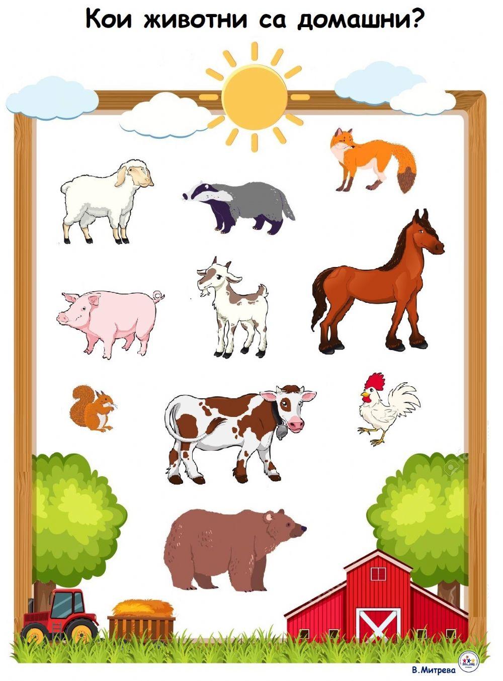 Кои животни са домашни Worksheet Live Worksheets