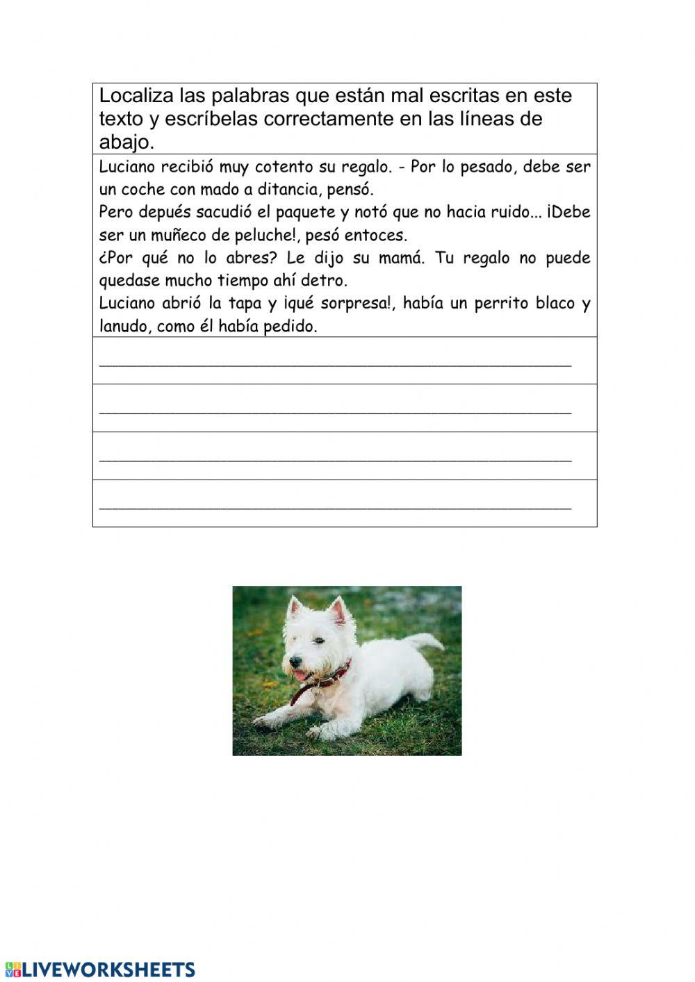 5517688 | Corrige las palabras mal escritas