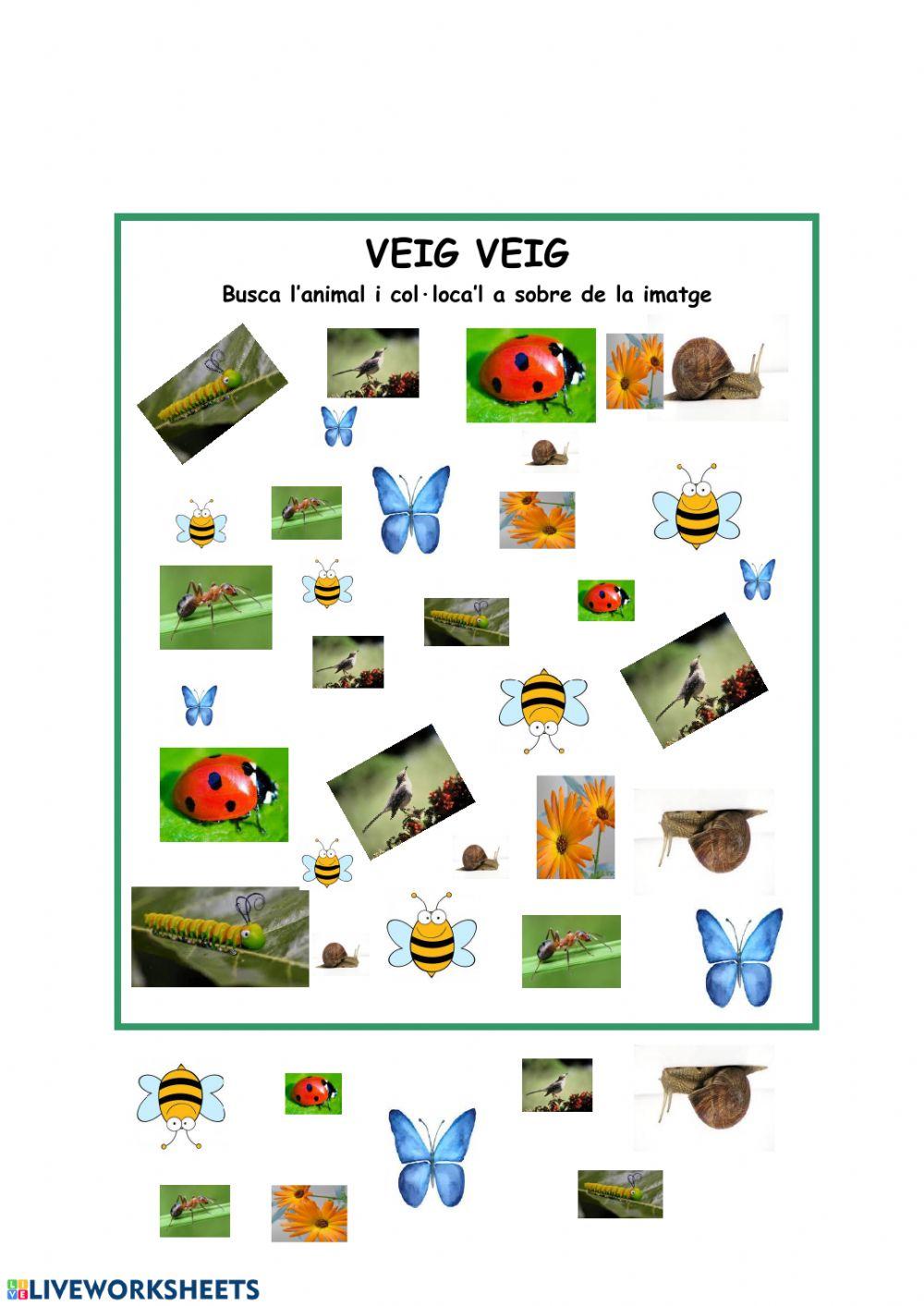 123324 | Veig veig | Varnaiz | LiveWorksheets