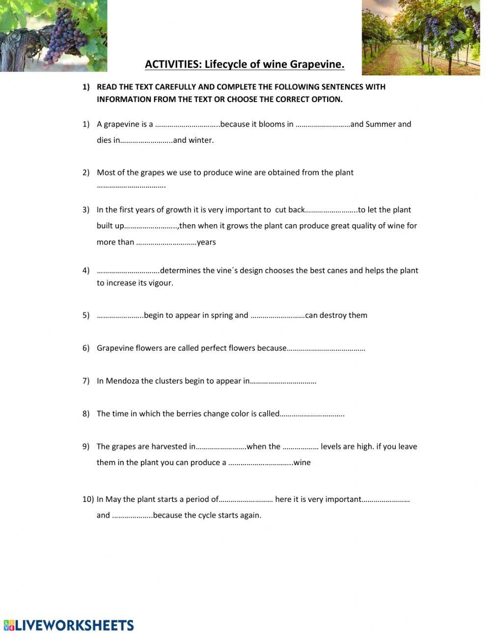 Vine cycle | Free Interactive Worksheets | 124036