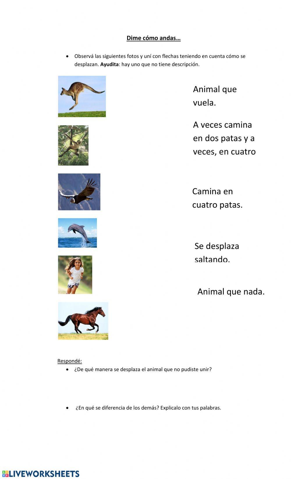 Dime cómo andas... worksheet | Live Worksheets