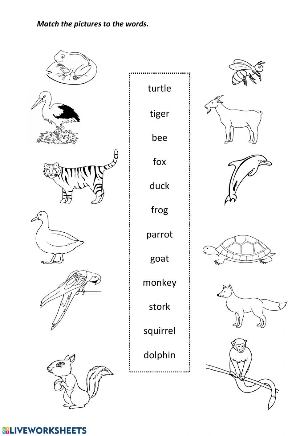 Animals online exercise for Elementary | Live Worksheets