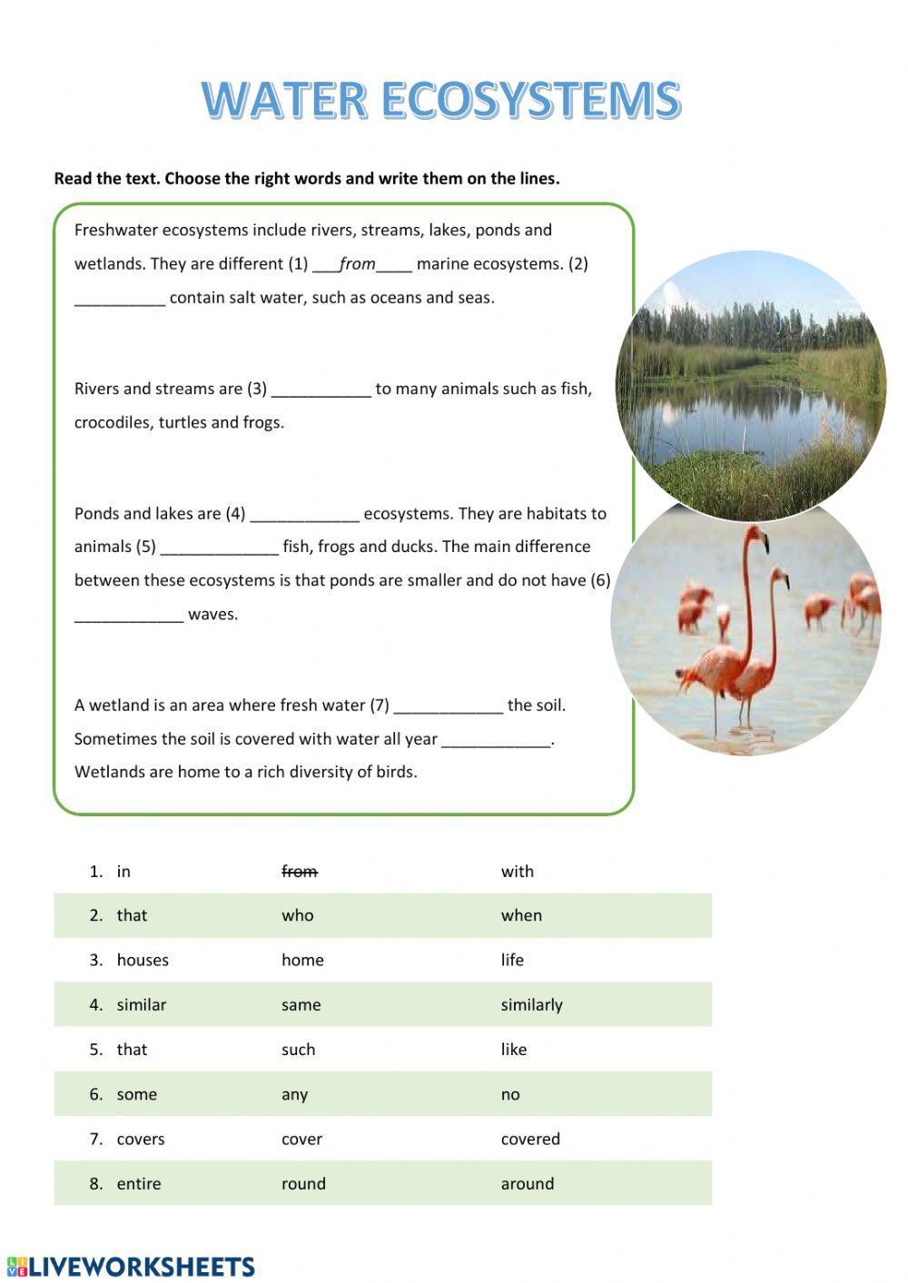 Water Ecosystems Worksheet Live Worksheets water-ecosystems-worksheet-live-worksheets
