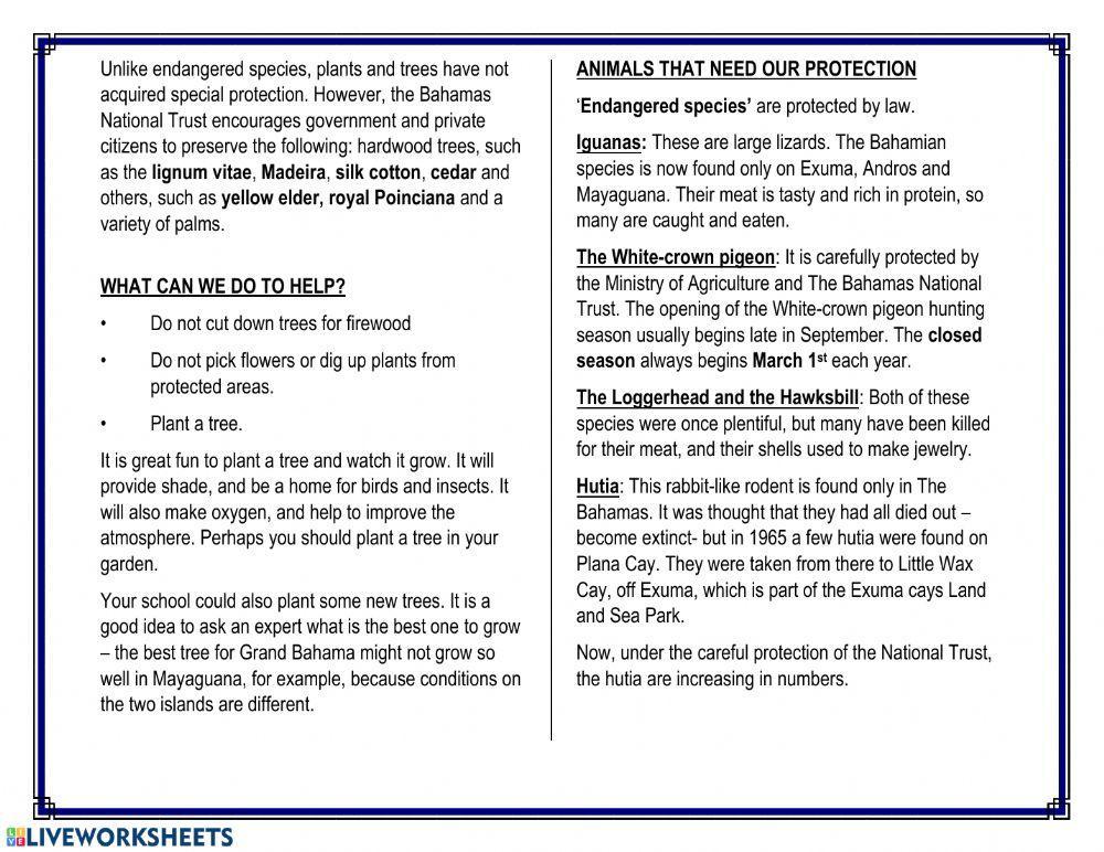 126620 | Conserving Our Resources | Cheryl Forbes