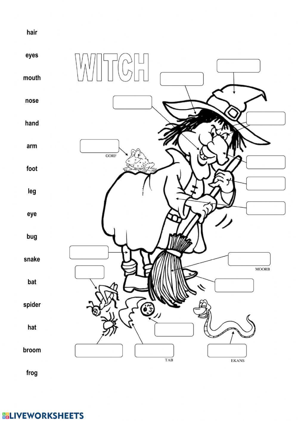 Witch - body, animals worksheet | Live Worksheets