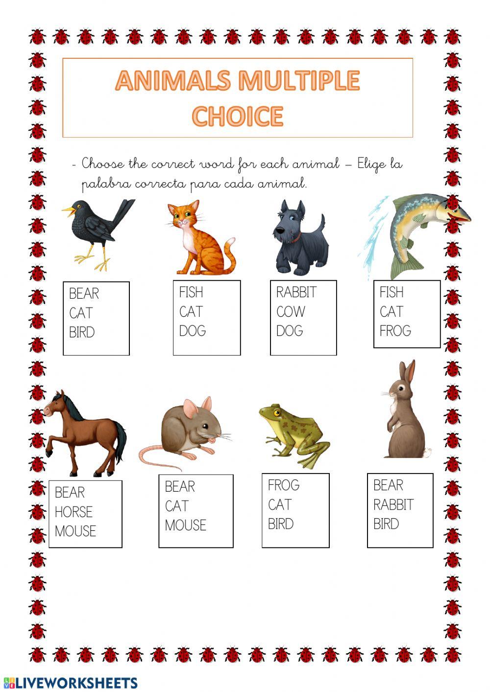 Animals Multipl… | Free Interactive Worksheets | 127620