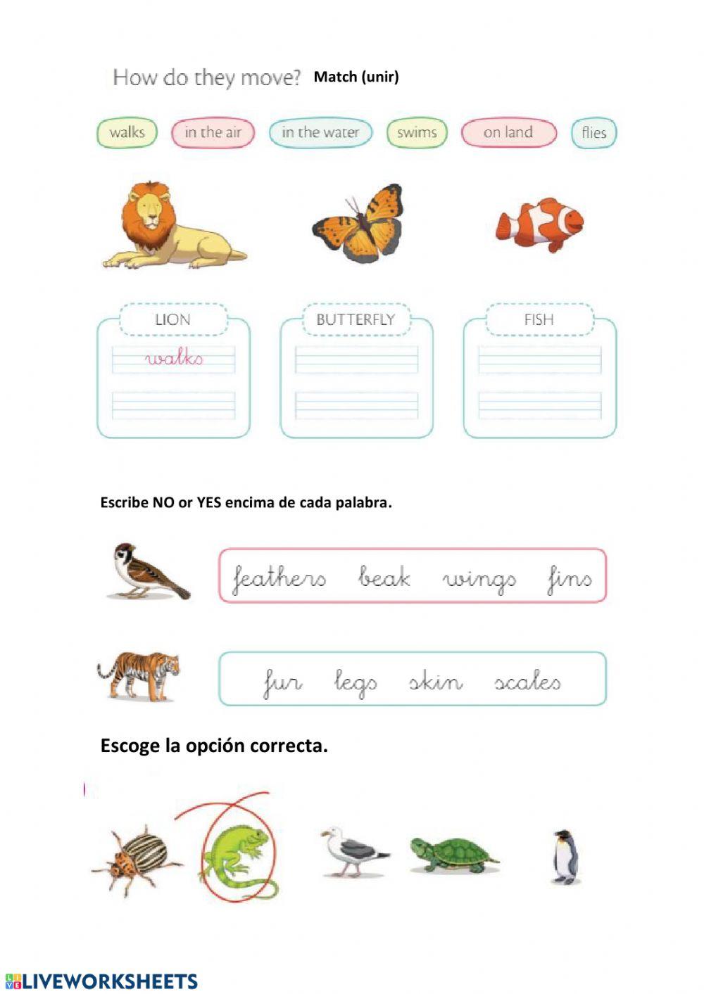 Animals review | Free Interactive Worksheets | 127950