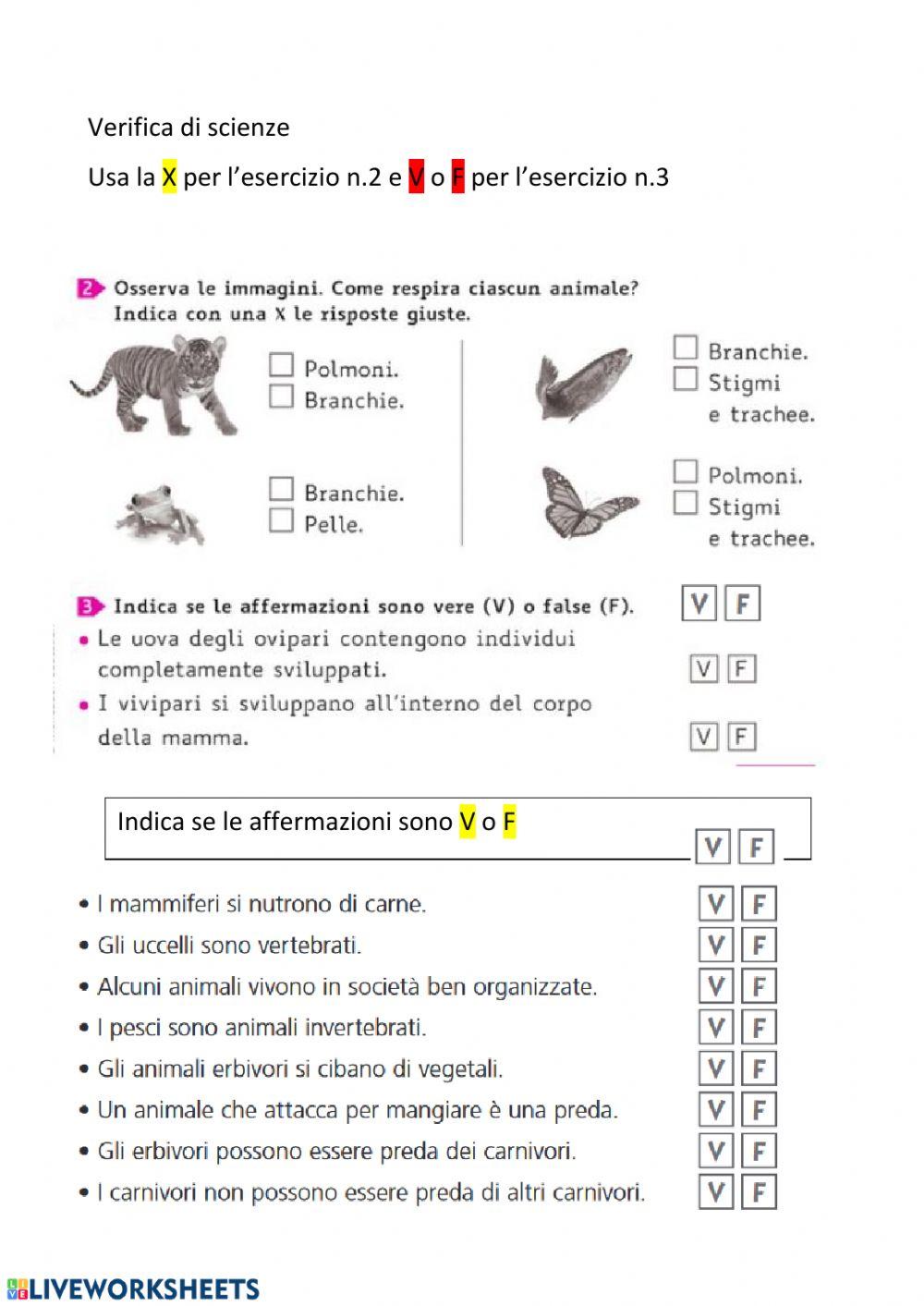 Verifica scienze interactive worksheet | Live Worksheets