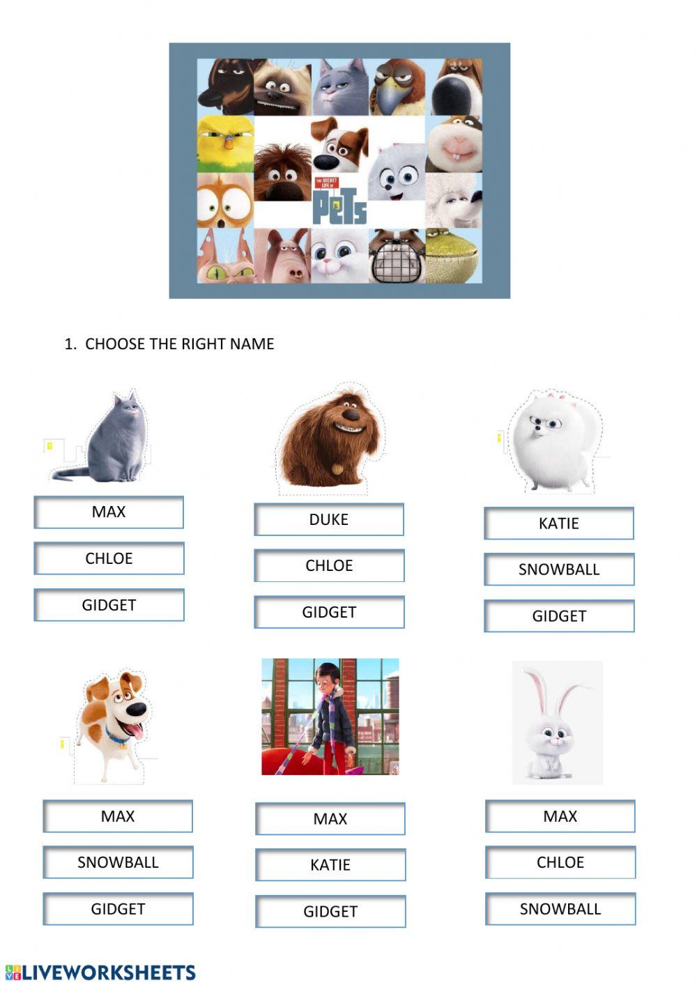 PETS | Free Interactive Worksheets | 5529278
