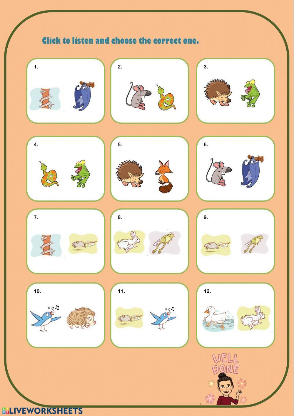 Garden Animal worksheet | Live Worksheets