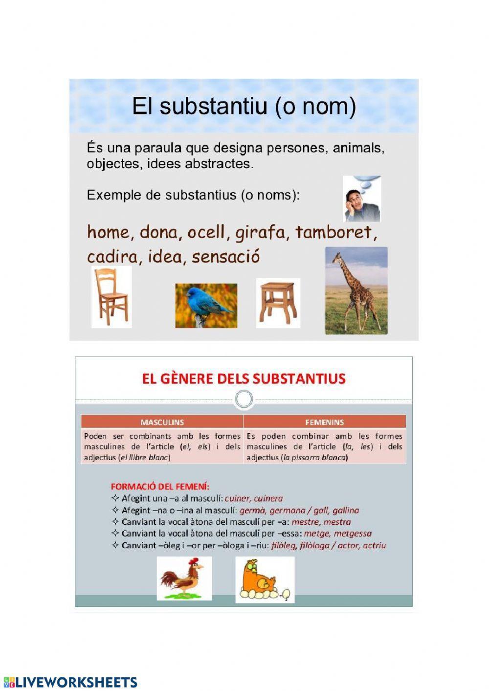 El substantiu | Free Interactive Worksheets | 130208