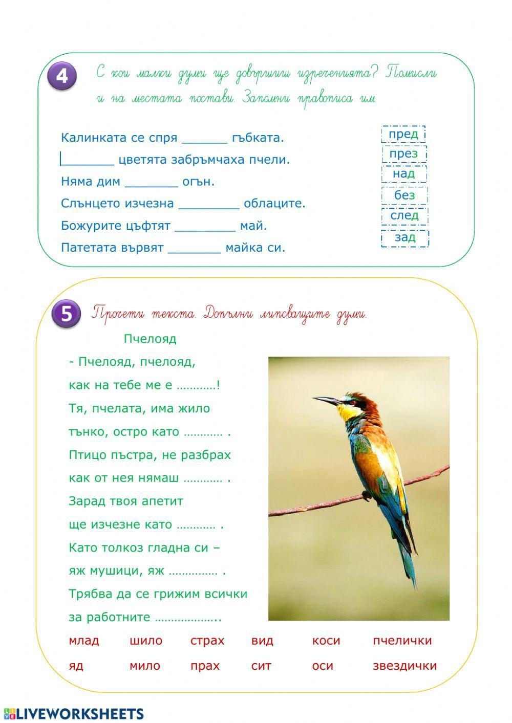 Пиша думи с Д Т Ж Ш З С Worksheet Live Worksheets