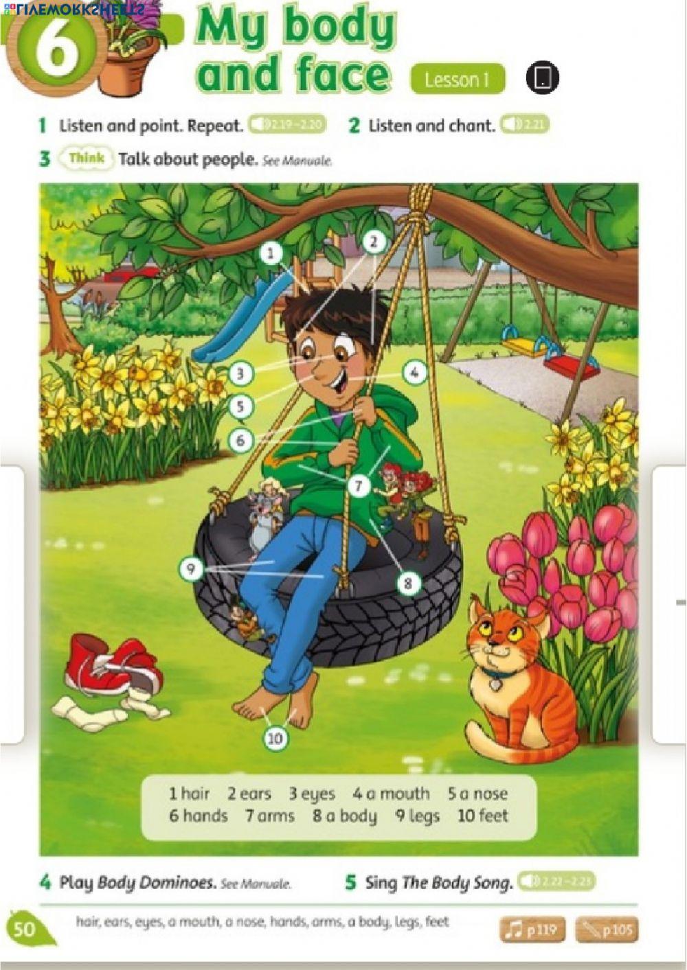 The body | Free Interactive Worksheets | 5534630