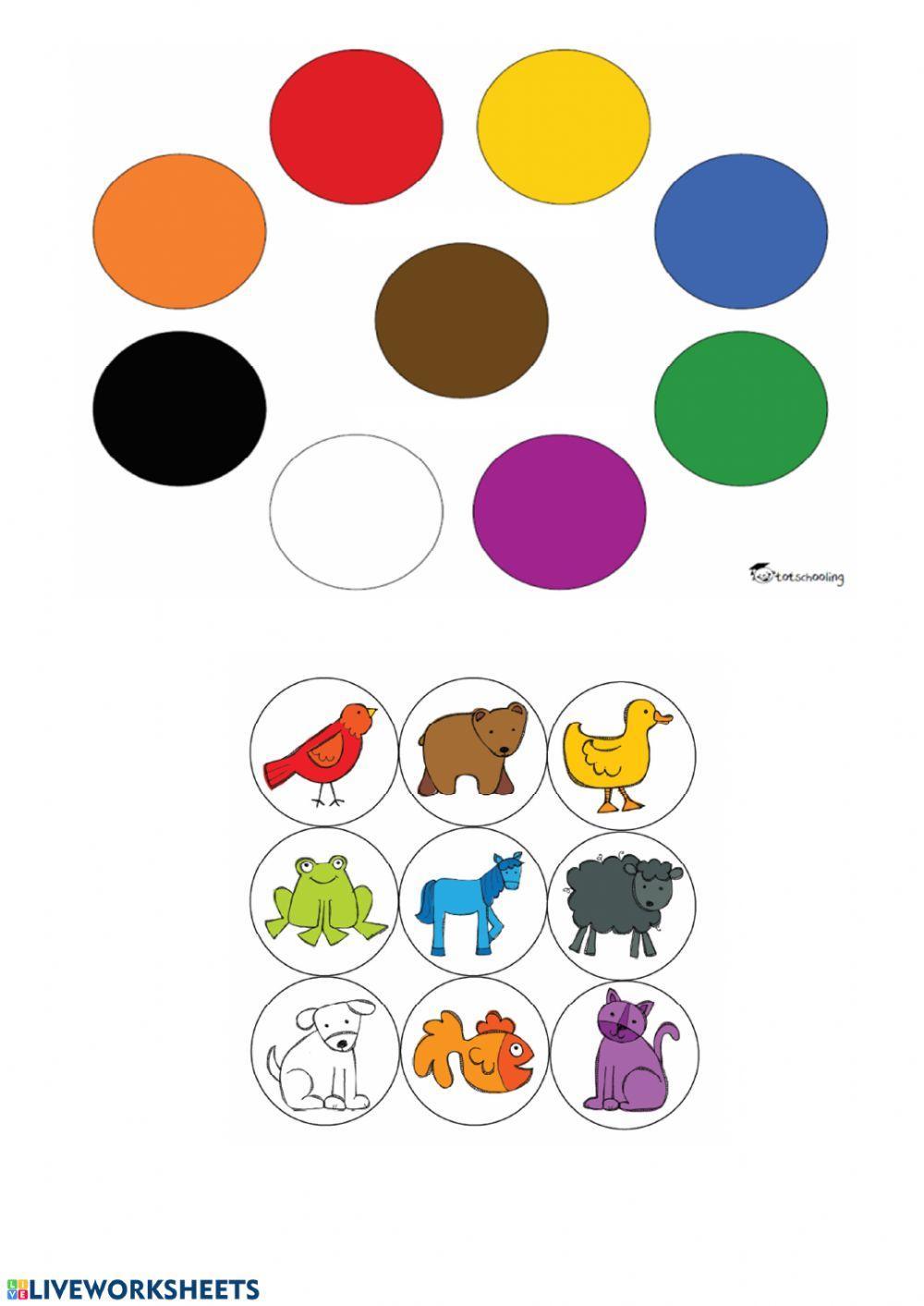 Animales por colores worksheet | Live Worksheets