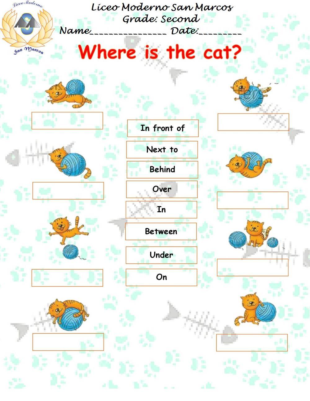 Prepositions of place interactive worksheet for Second | Live Worksheets