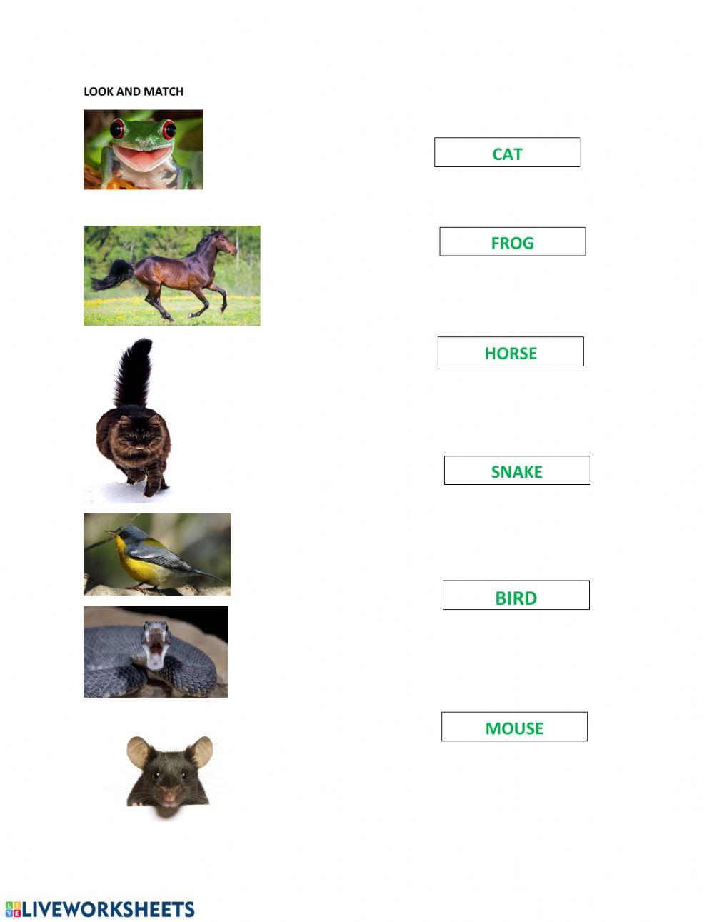 Animals online exercise for 1 | Live Worksheets