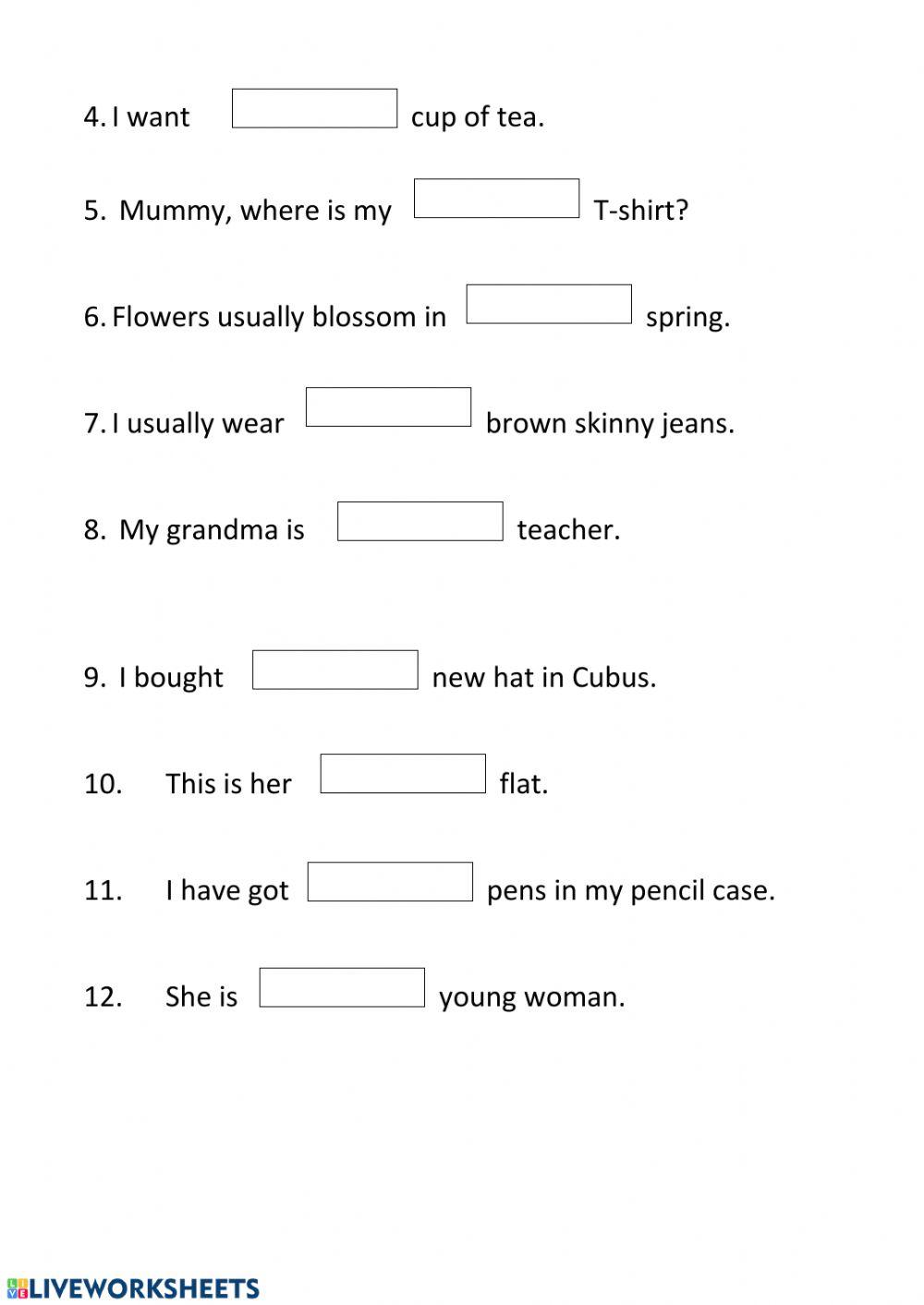 Indefinite handout worksheet | Live Worksheets