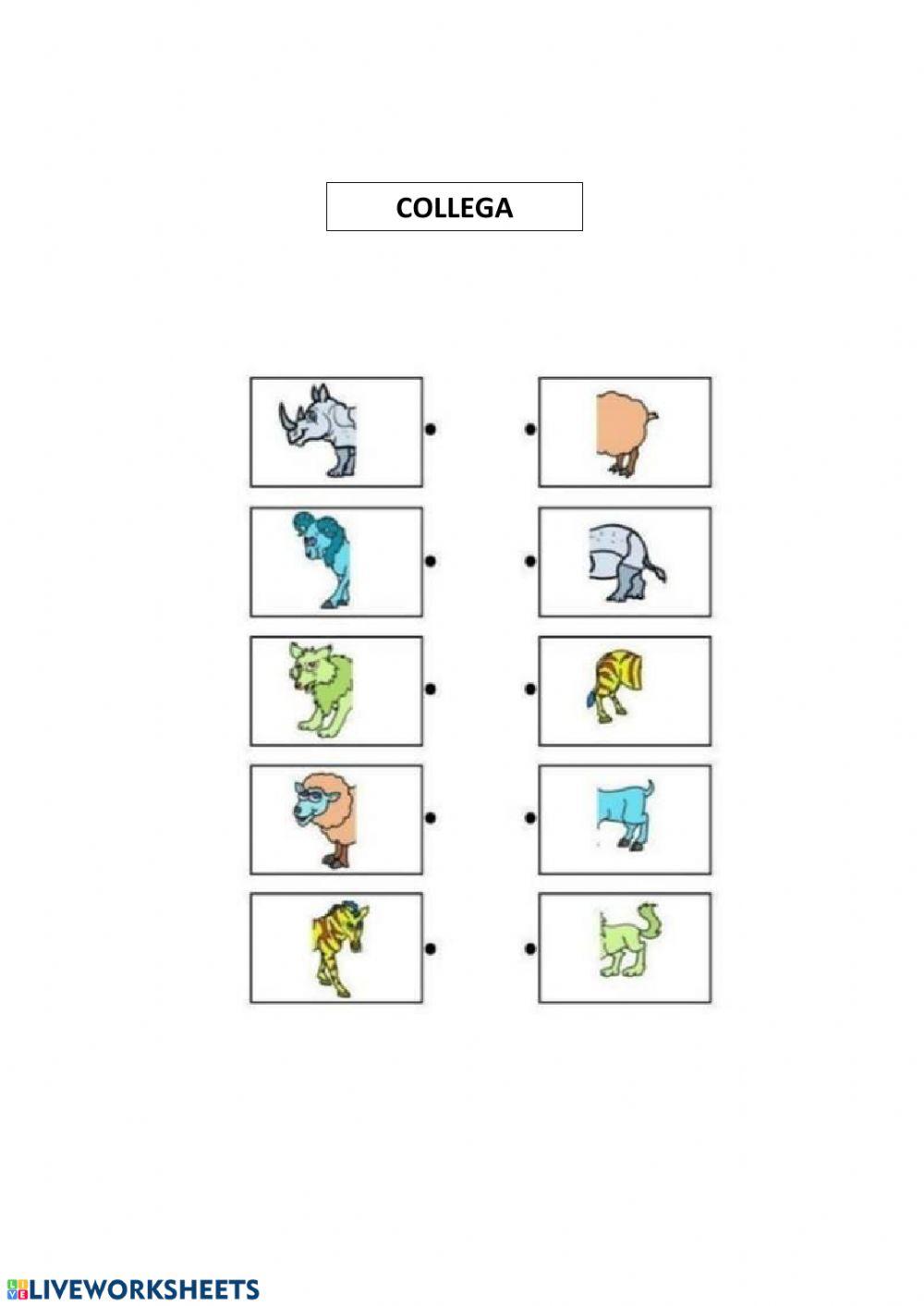 Collega online worksheet | Live Worksheets