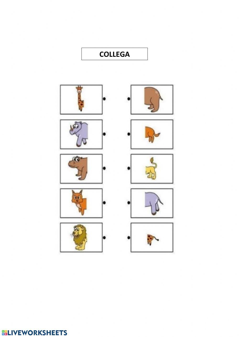 Collega online worksheet | Live Worksheets