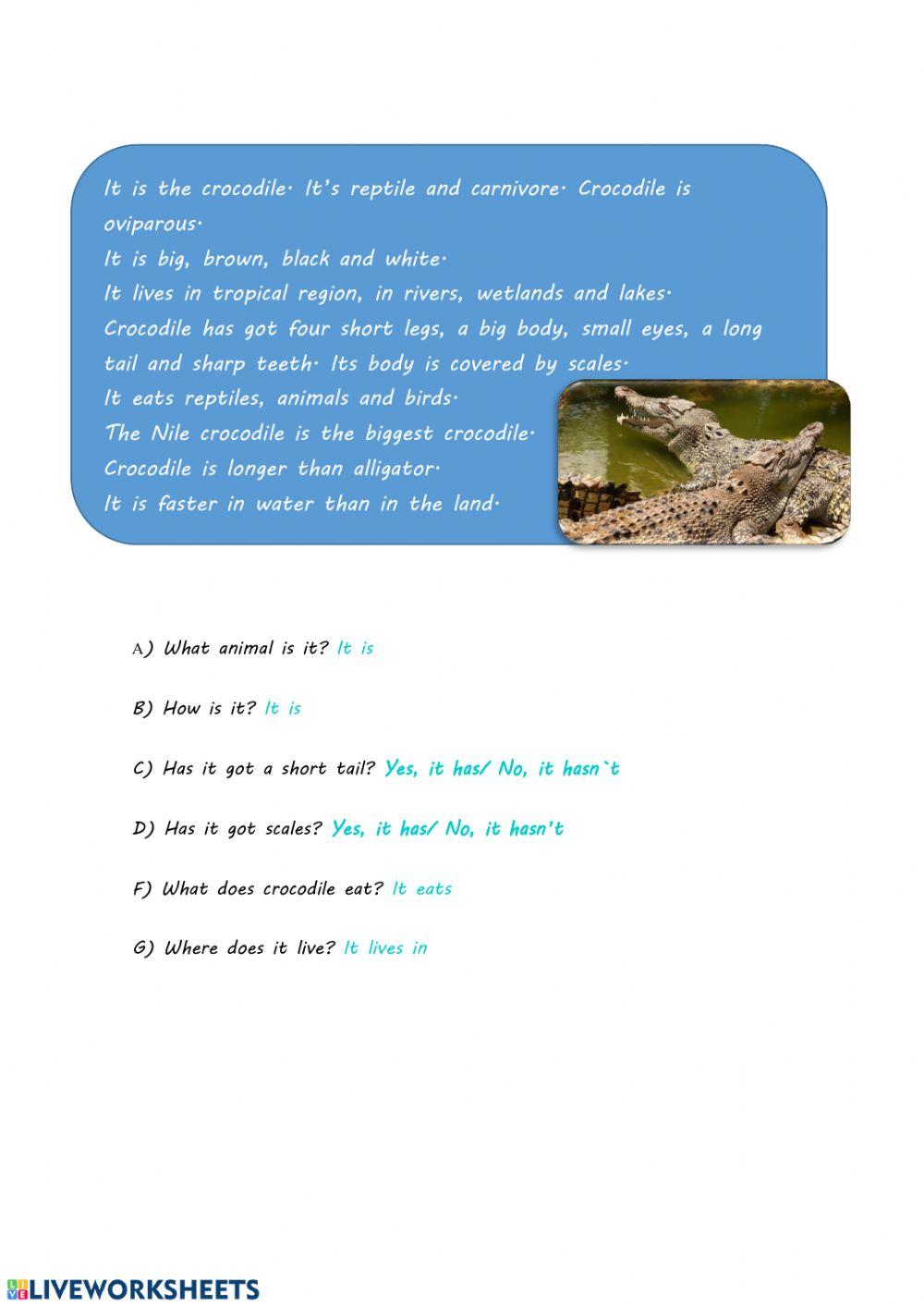 Reading comprehension interactive exercise for elementary | Live Worksheets