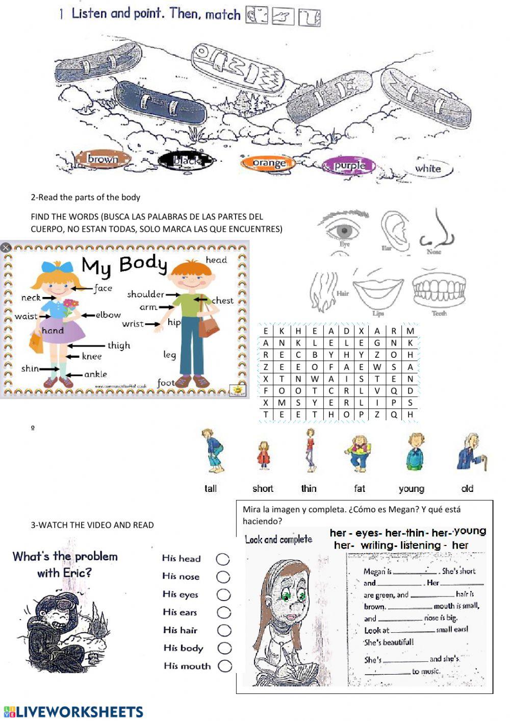 136414 | Body description | Lorena Costilla