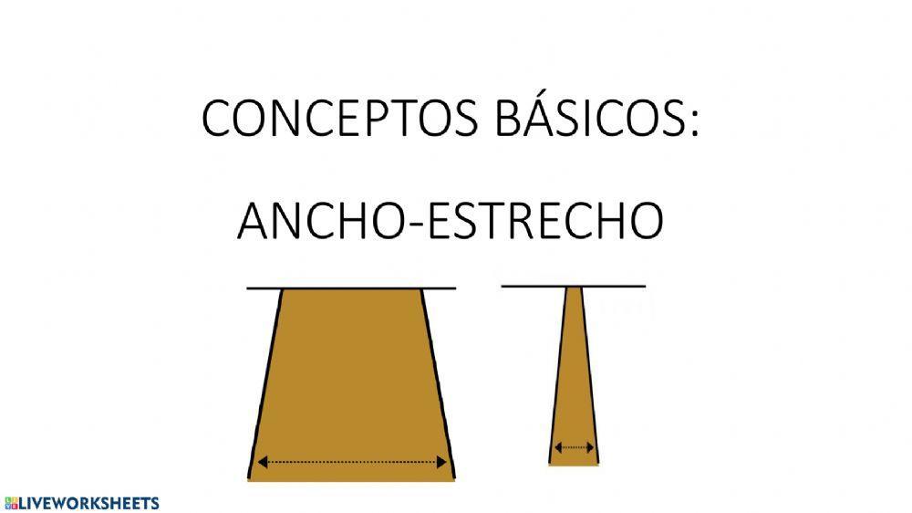Ancho y estrecho | Free Interactive Worksheets | 136595