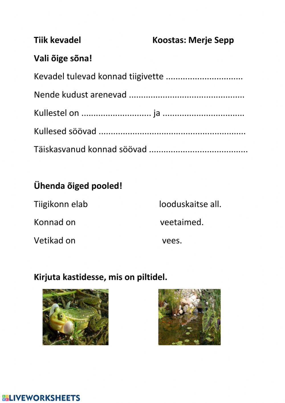 Tiik kevadel worksheet | Live Worksheets