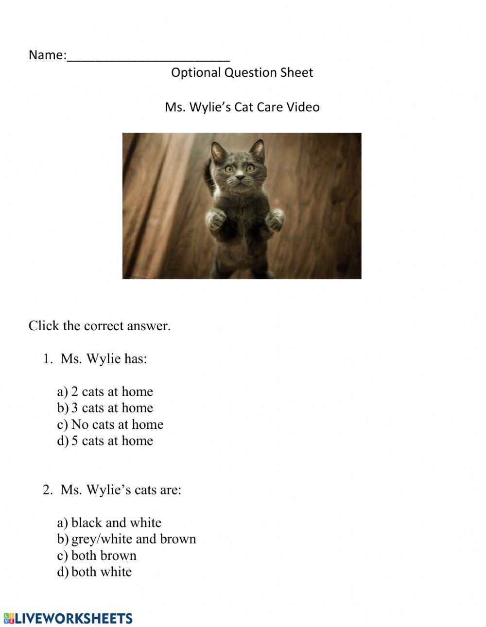 Cat Care worksheet | Live Worksheets
