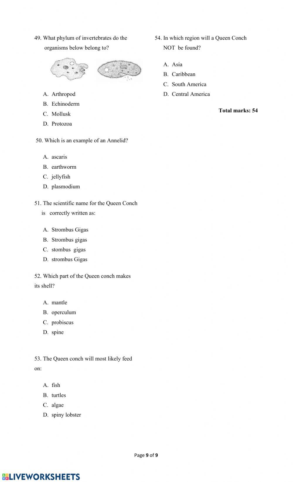 Grade 7 Multiple Choice Review 5550480 | Sharanda Brennen