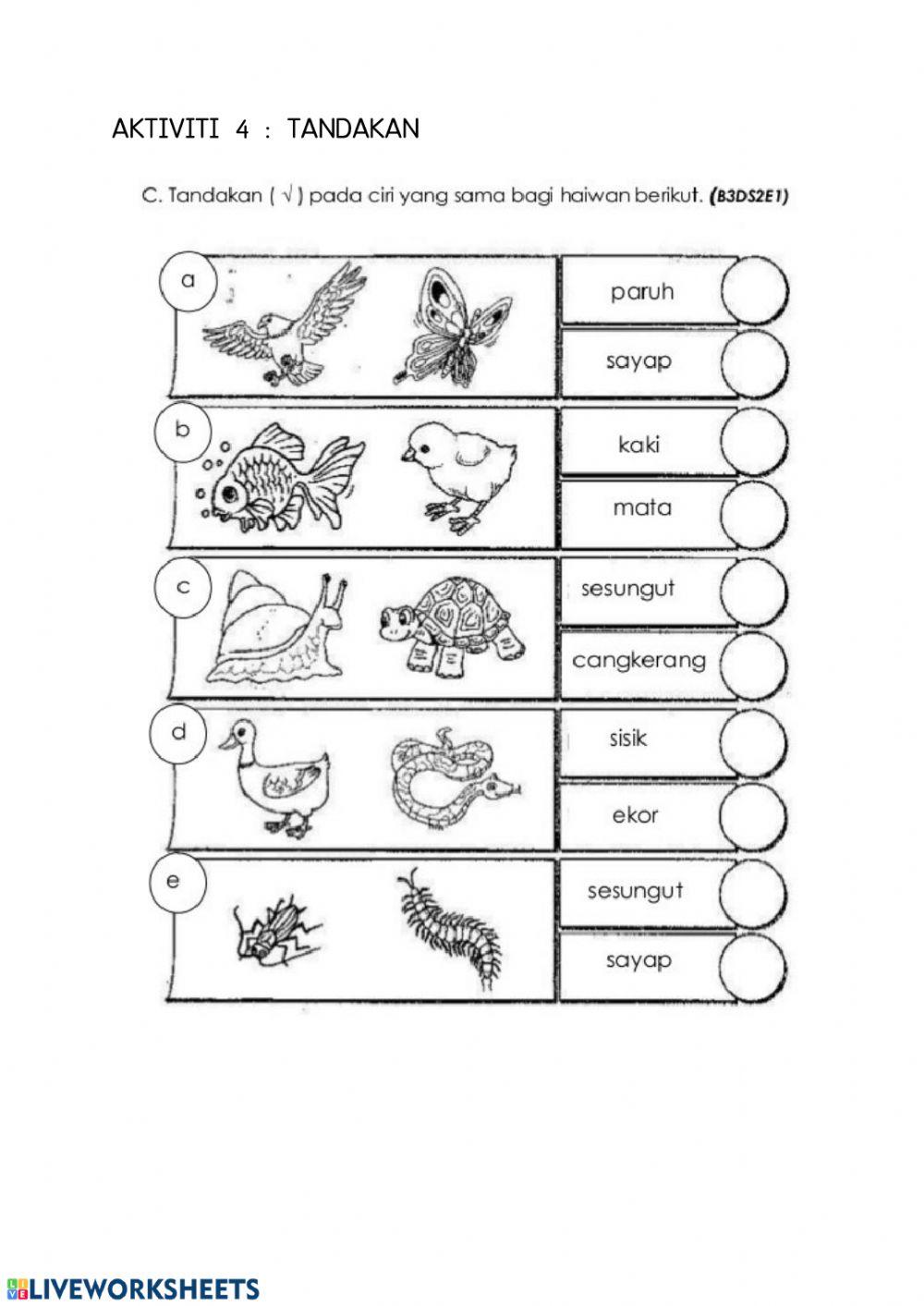 Sains-haiwan worksheet | Live Worksheets