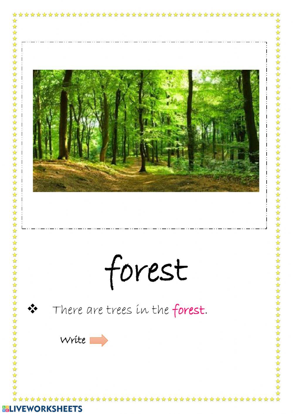 Picture Dictionary online worksheet for Grade1 | Live Worksheets