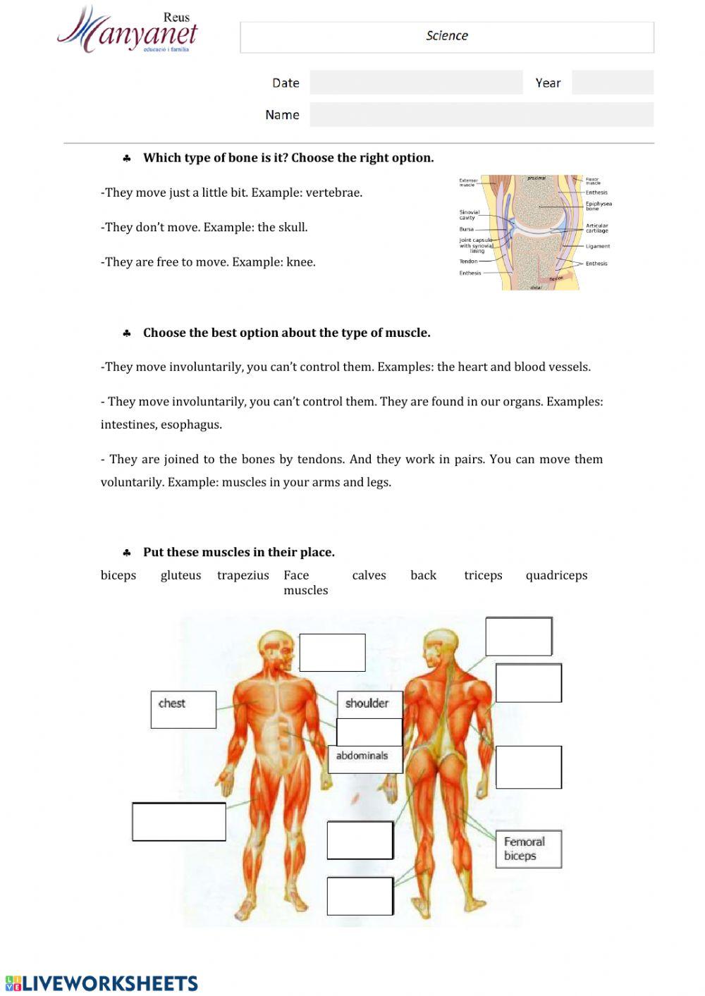 The locomotor s… | Free Interactive Worksheets | 139735