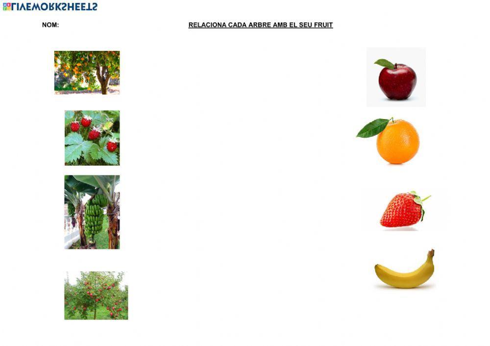 Relacionar fruites worksheet | Live Worksheets