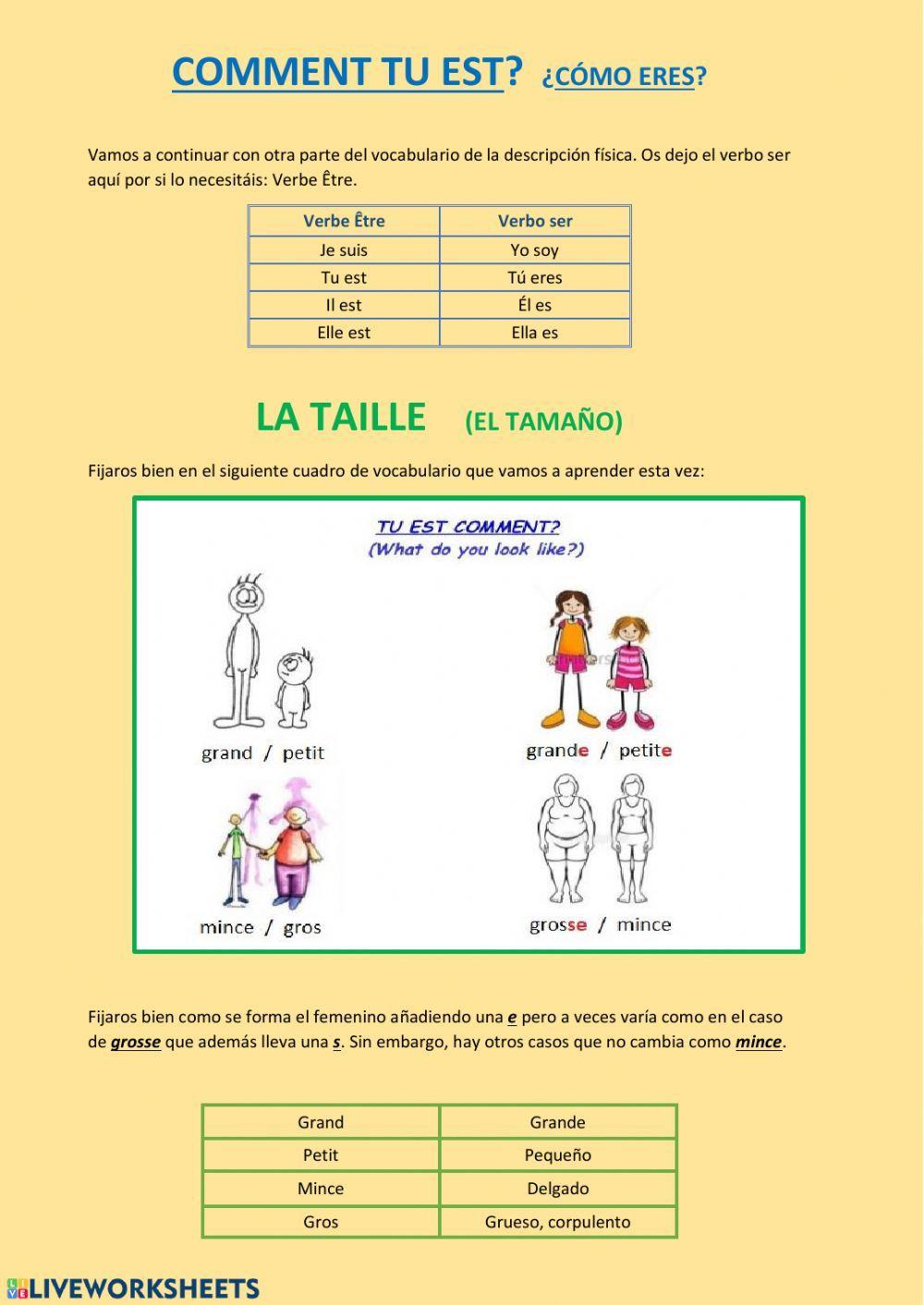 Description phy… | Free Interactive Worksheets | 140898