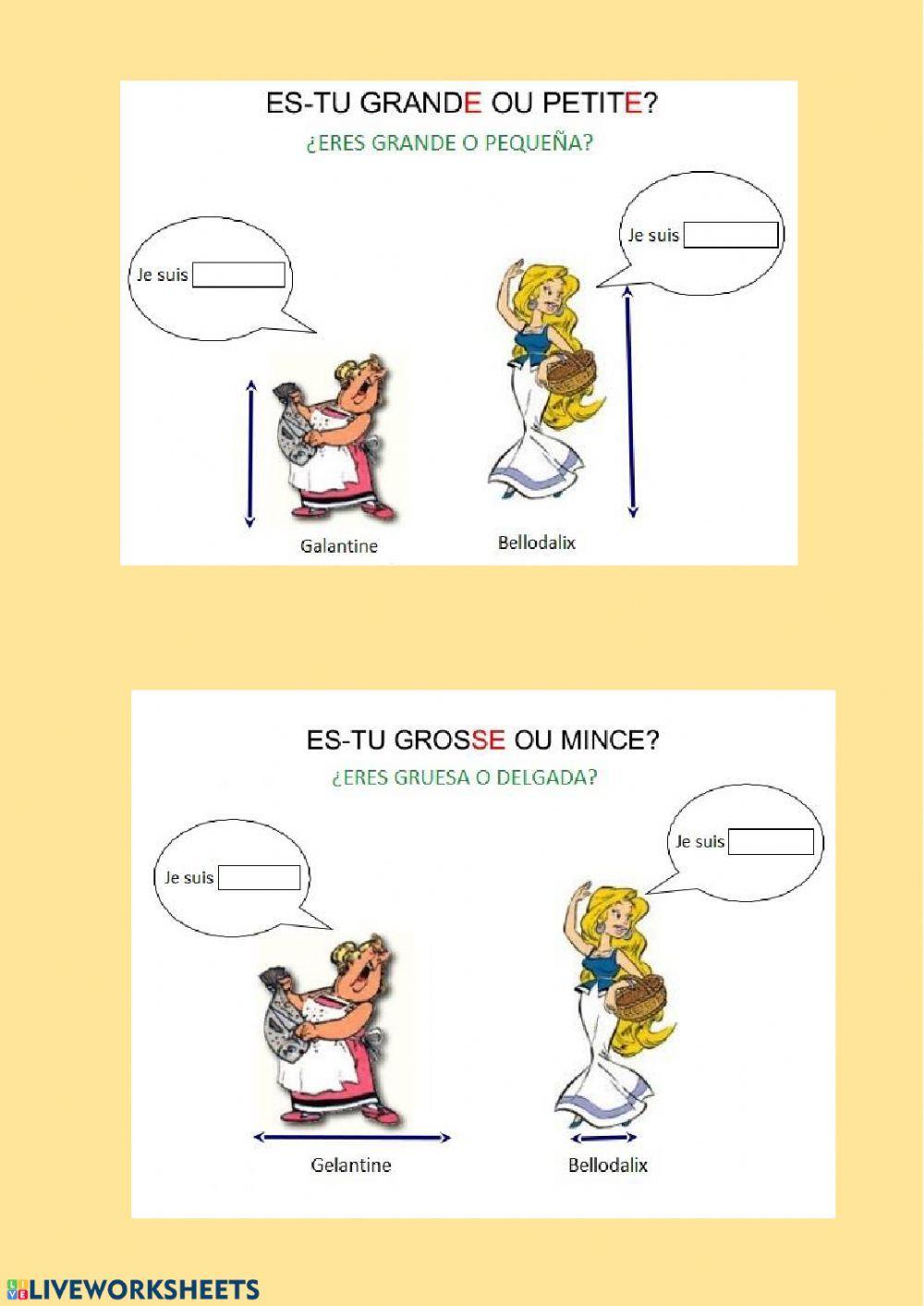 Description phy… | Free Interactive Worksheets | 140898