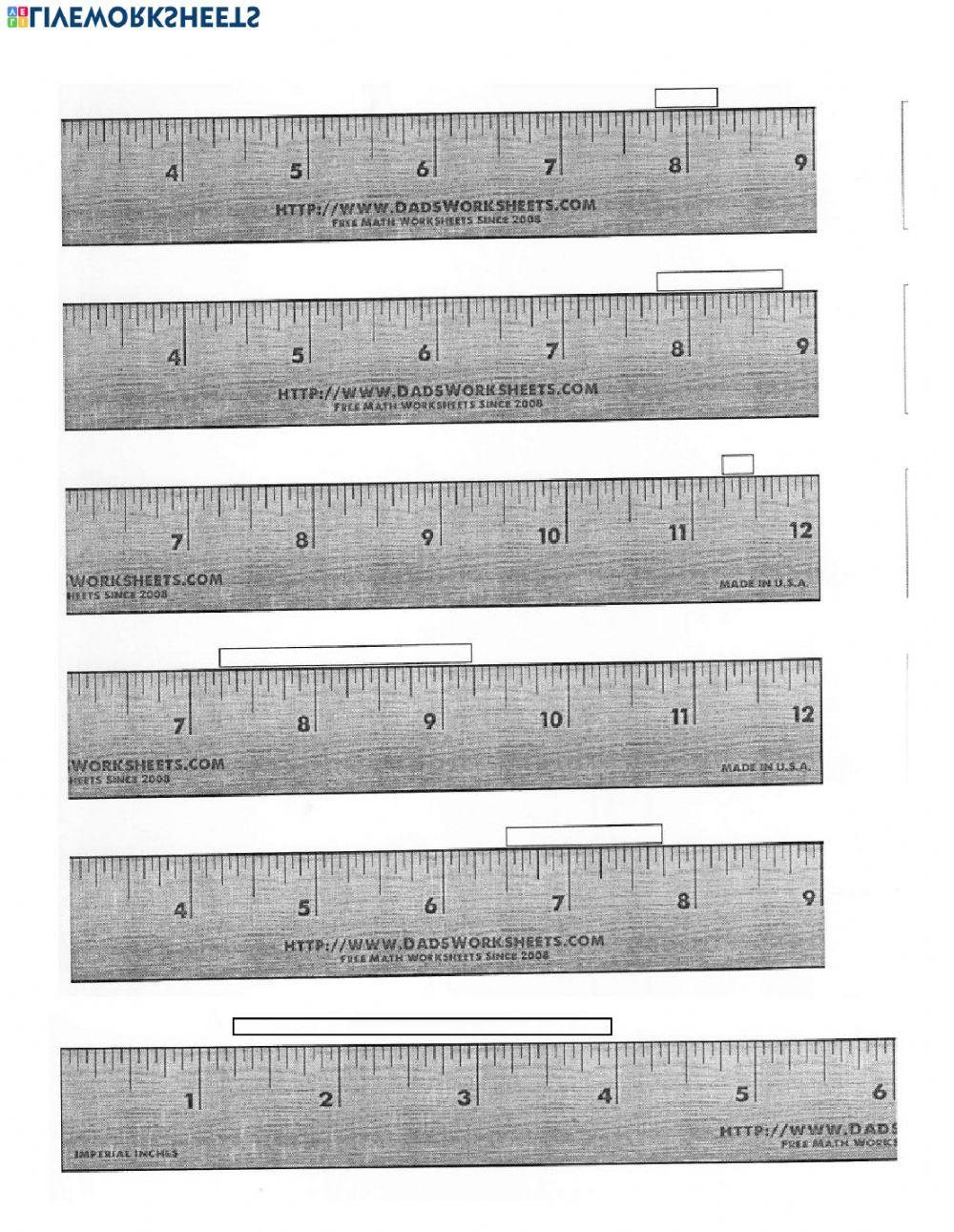 Rulers - 16ths 5439648 | MsBrassard | LiveWorksheets