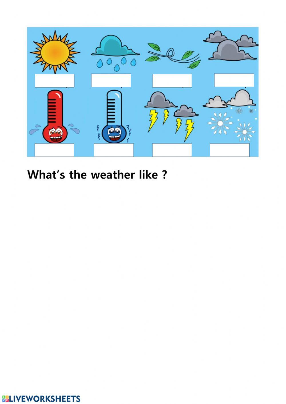 Weather online pdf activity for sp 1-3 | Live Worksheets