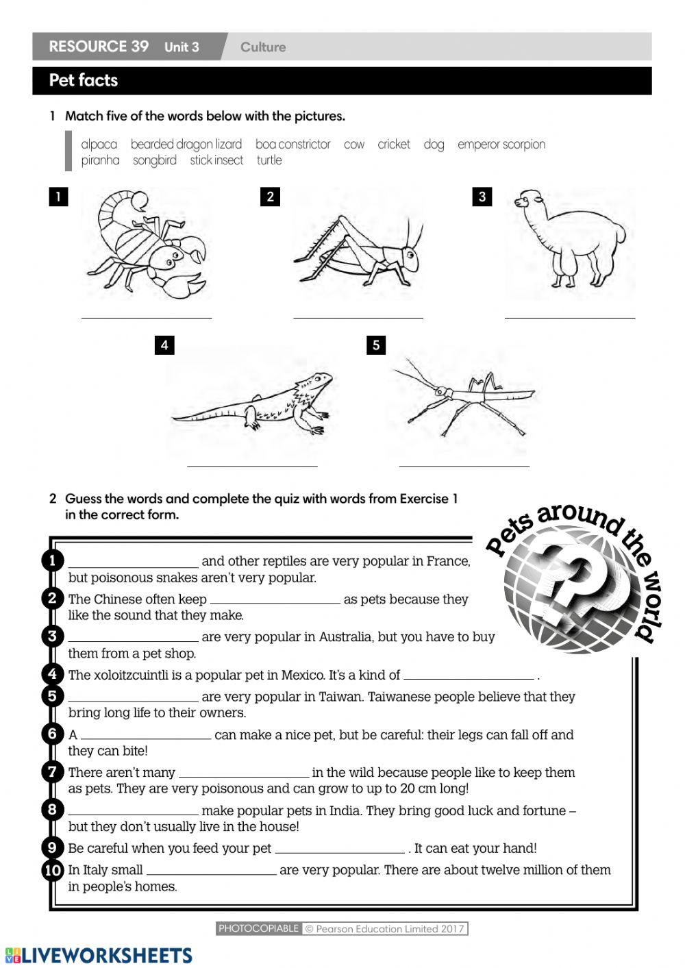 Wider World 2 Unit 3 BBC Culture 5440528 | Elvira86