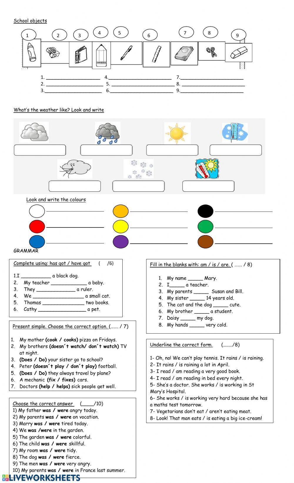 Diagnosis test (1st year) worksheet | Live Worksheets