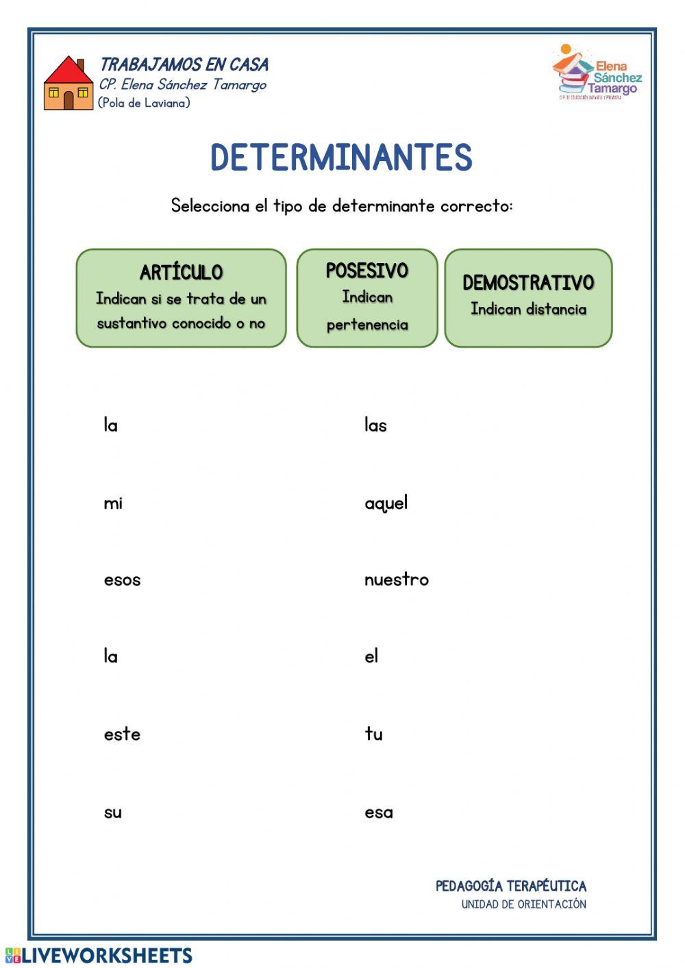 Determinantes online activity | Live Worksheets